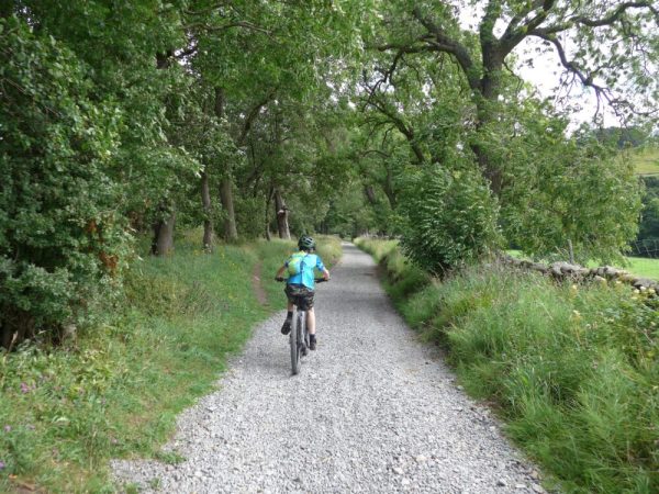 Swale Trail near Reeth - suitable for younger children - Cycle Sprog