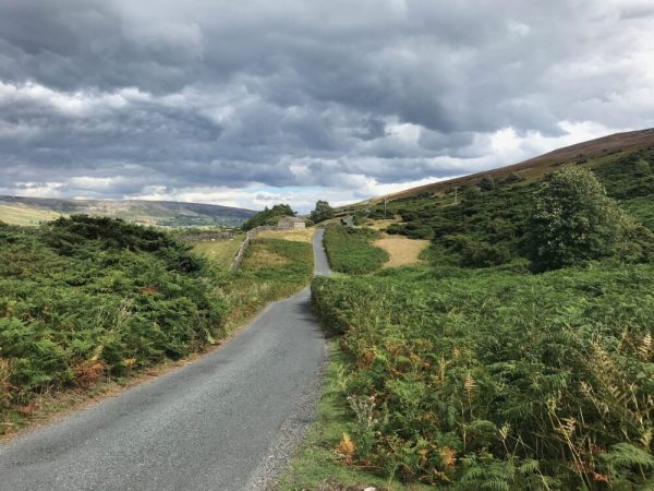 Swale Trail Road towards Reeth - Cycle Sprog